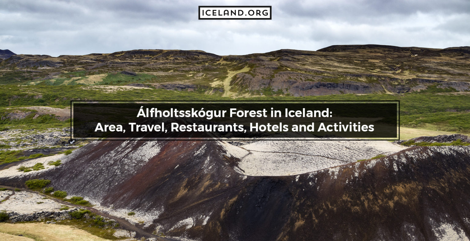 Álfholtsskógur Forest in Iceland: Area, Travel, Restaurants, Hotels and ...