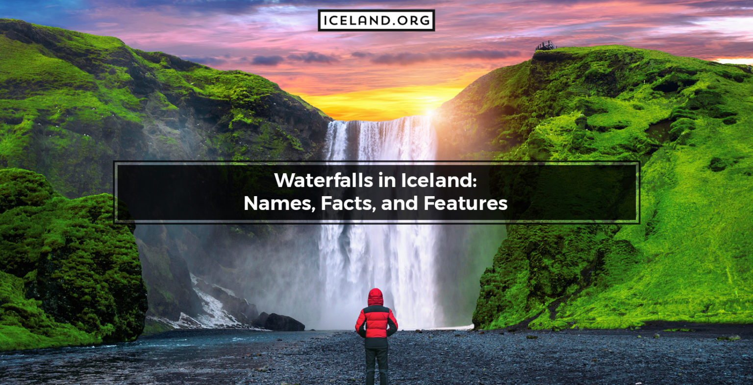 Iceland Forests: Names, Facts, and Features - Iceland.org